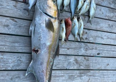 Gallery - Hook Um Fishing Charters